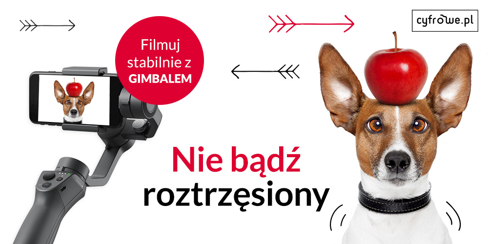 Co to jest gimbal i jaki gimbal wybrać? cyfrowe.pl